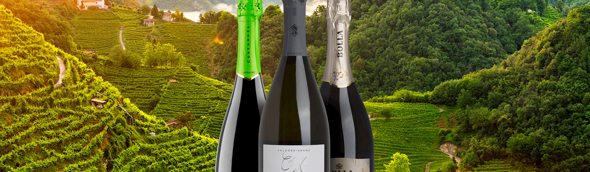 18 Best Wines in the Province of Treviso - TasteAtlas