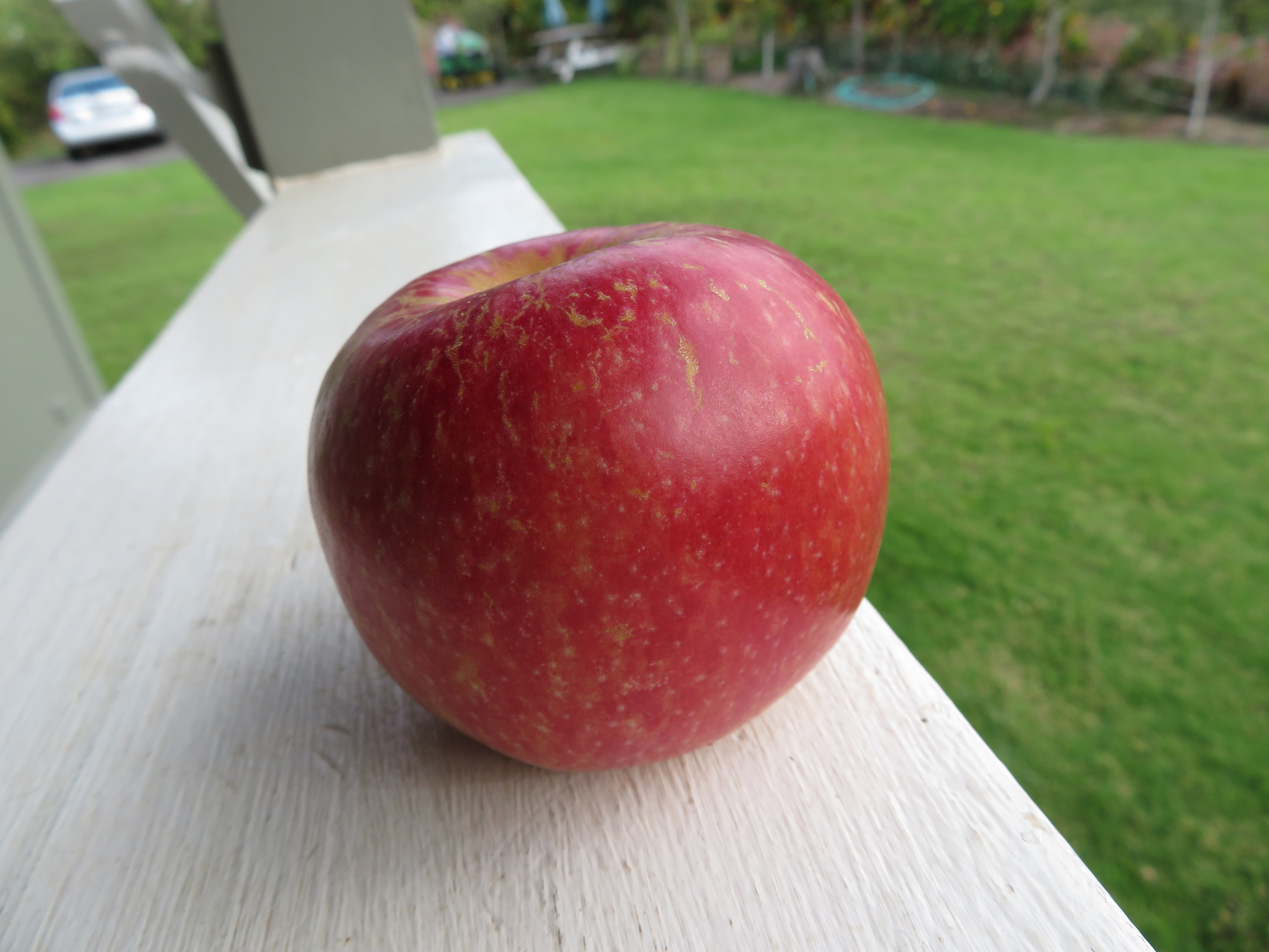 Nittany Apples | Local Apple From Pennsylvania, United States of America