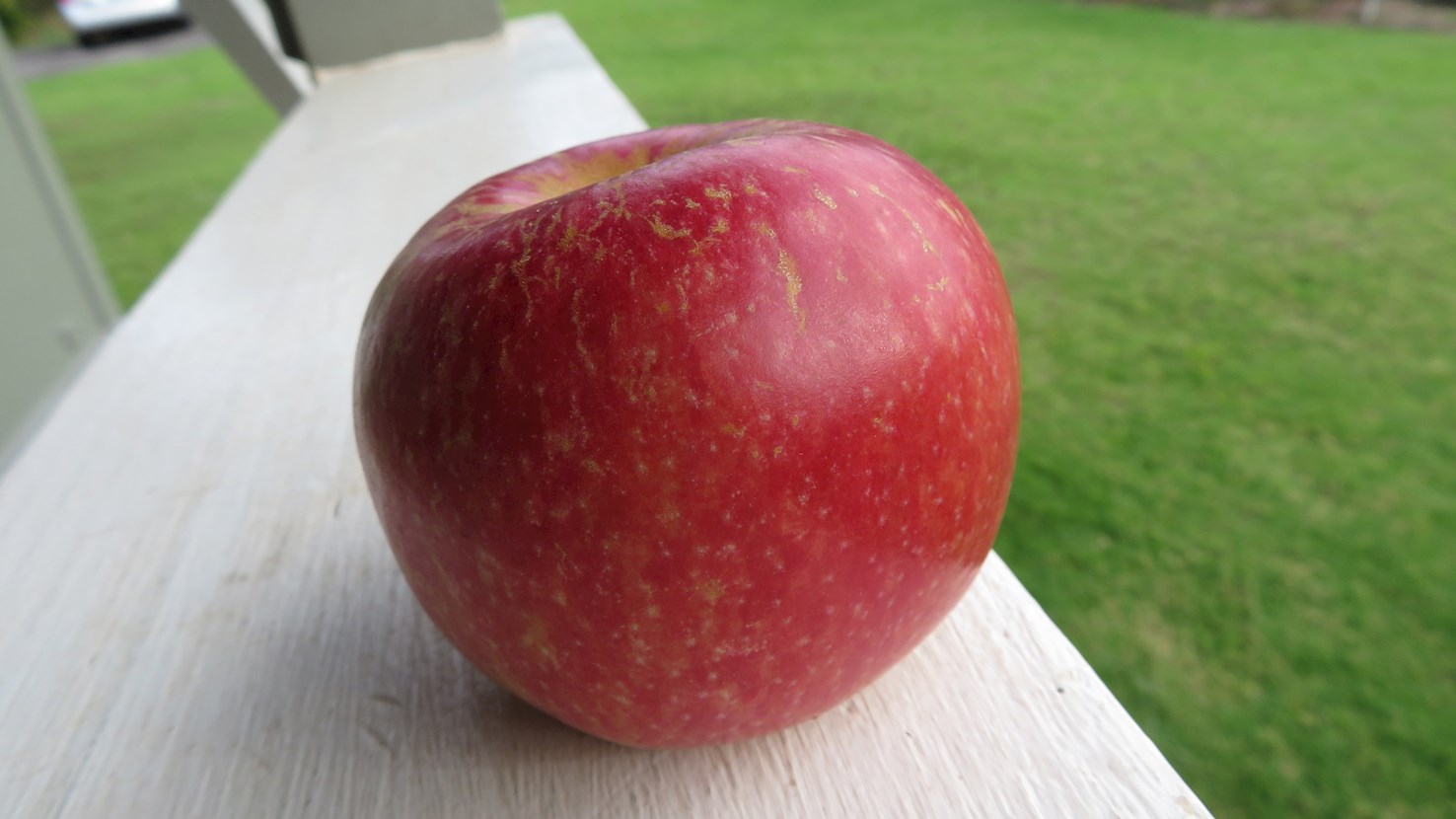 3 Best Apple Varieties in Pennsylvania - TasteAtlas