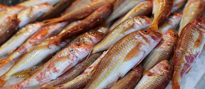 European Saltwater Fish: 10 Saltwater Fish Types in Europe | TasteAtlas