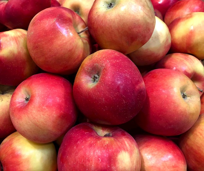 American Apple Varieties: 49 Apple Variety Types in United States of ...