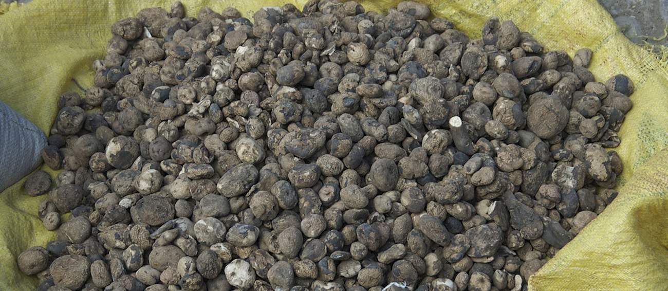 Chuño | Local Potato From Bolivia