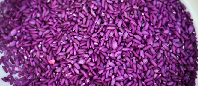 Italian Grains: 12 Grains Types in Italy | TasteAtlas