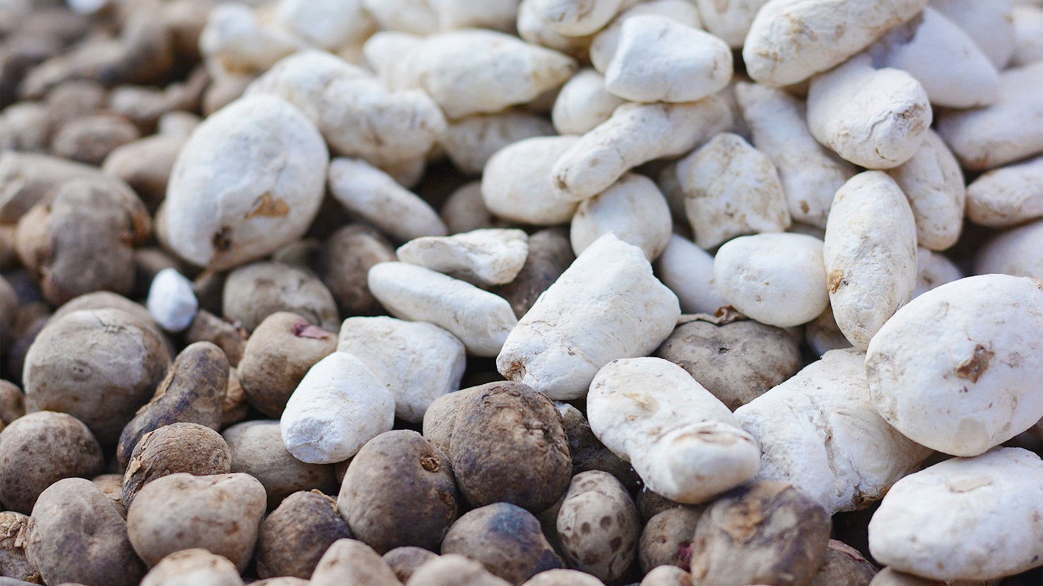 Top 5 Peruvian Potatoes - TasteAtlas