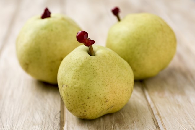 European Pears: 15 Pear Types in Europe | TasteAtlas