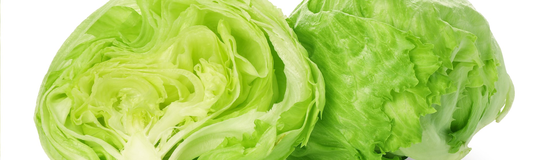 5 Best Lettuces in the World - TasteAtlas