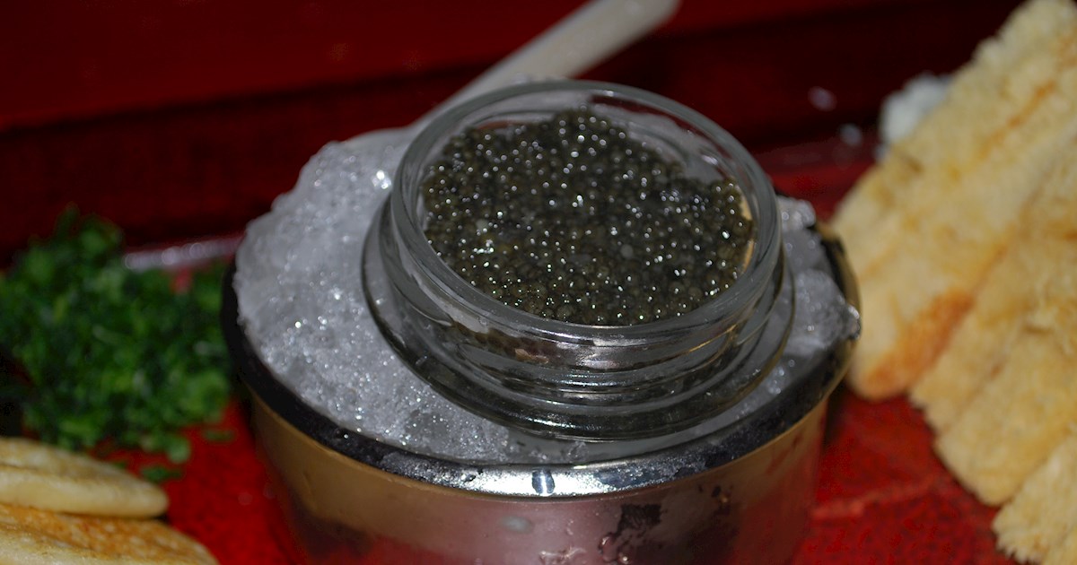 Sevruga Caviar | Local Caviar From Russia, Eastern Europe