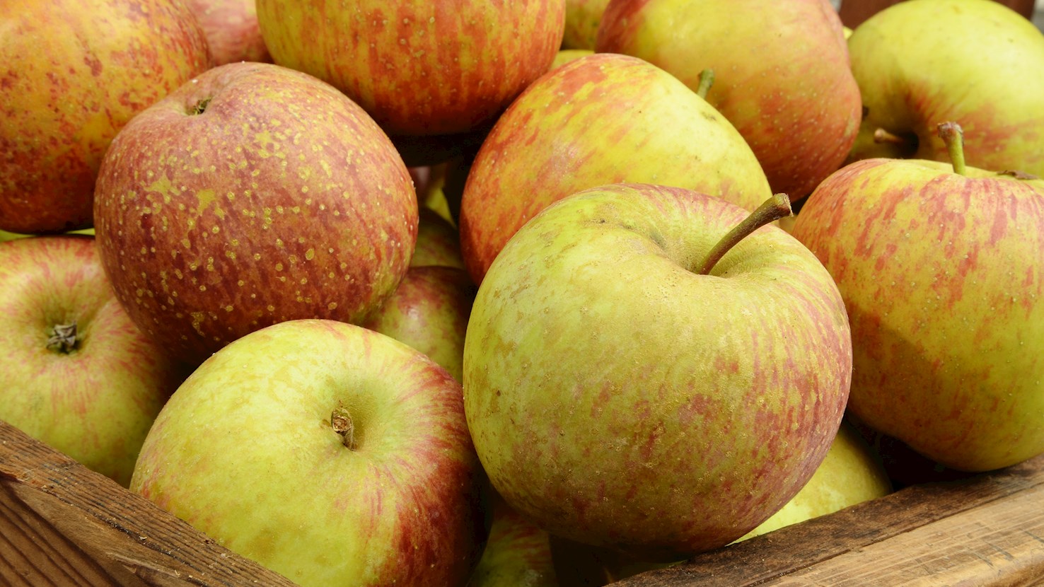 5 Best Apples in Canada - TasteAtlas