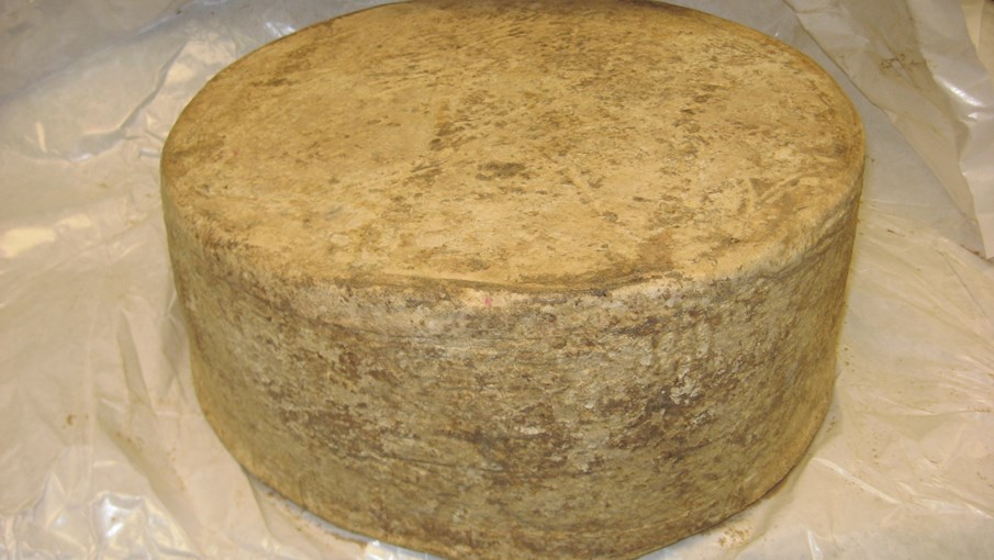 42 Best Cow's Milk Cheeses in New England - TasteAtlas