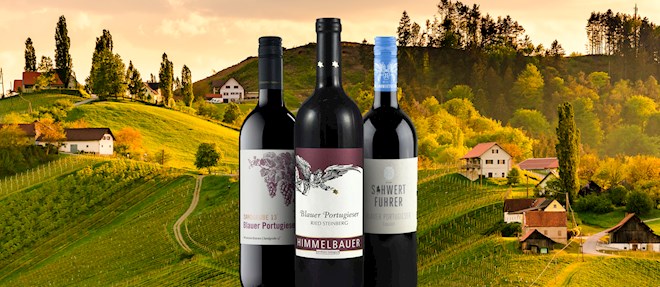 Austrian Red Wines: 4 Red Wine Types in Austria | TasteAtlas