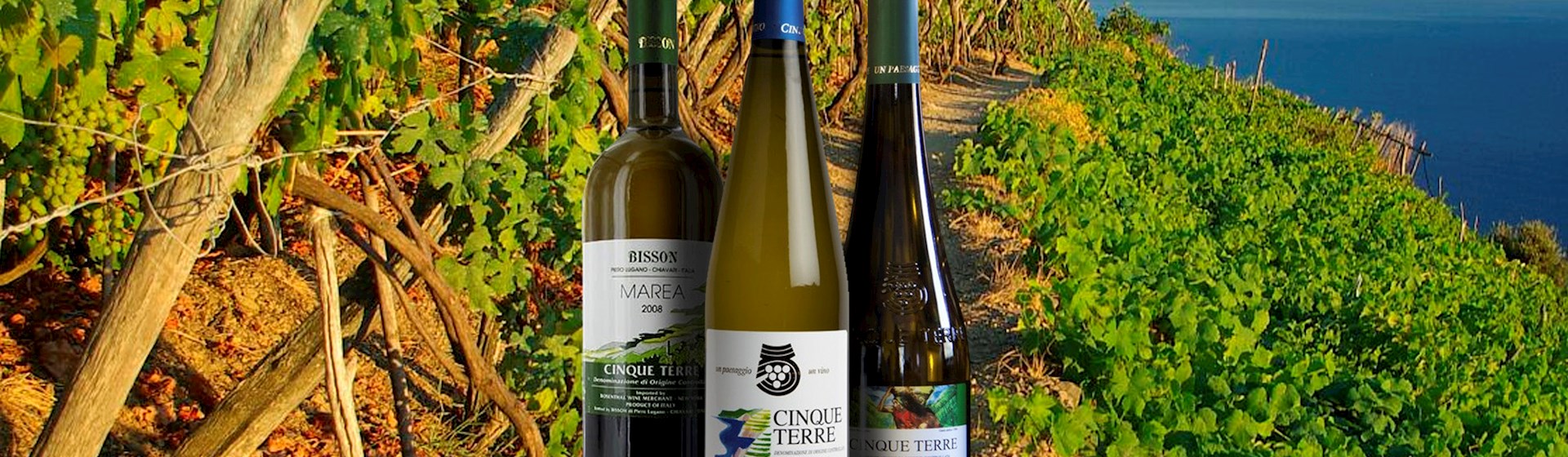 3 Best White Wines in Liguria - TasteAtlas