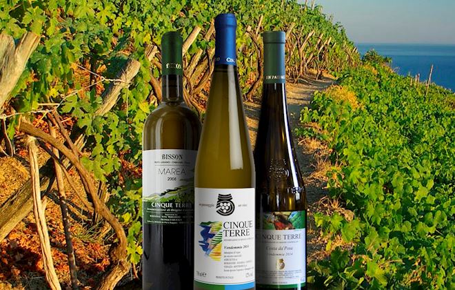 Italian White Wines: 37 White Wine Types in Italy | TasteAtlas