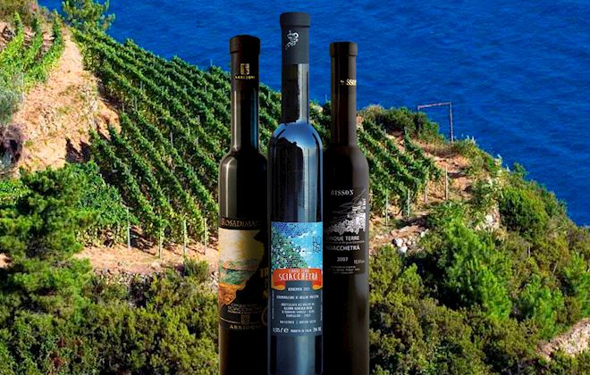 Italian Dessert Wines: 20 Dessert Wine Types in Italy | TasteAtlas