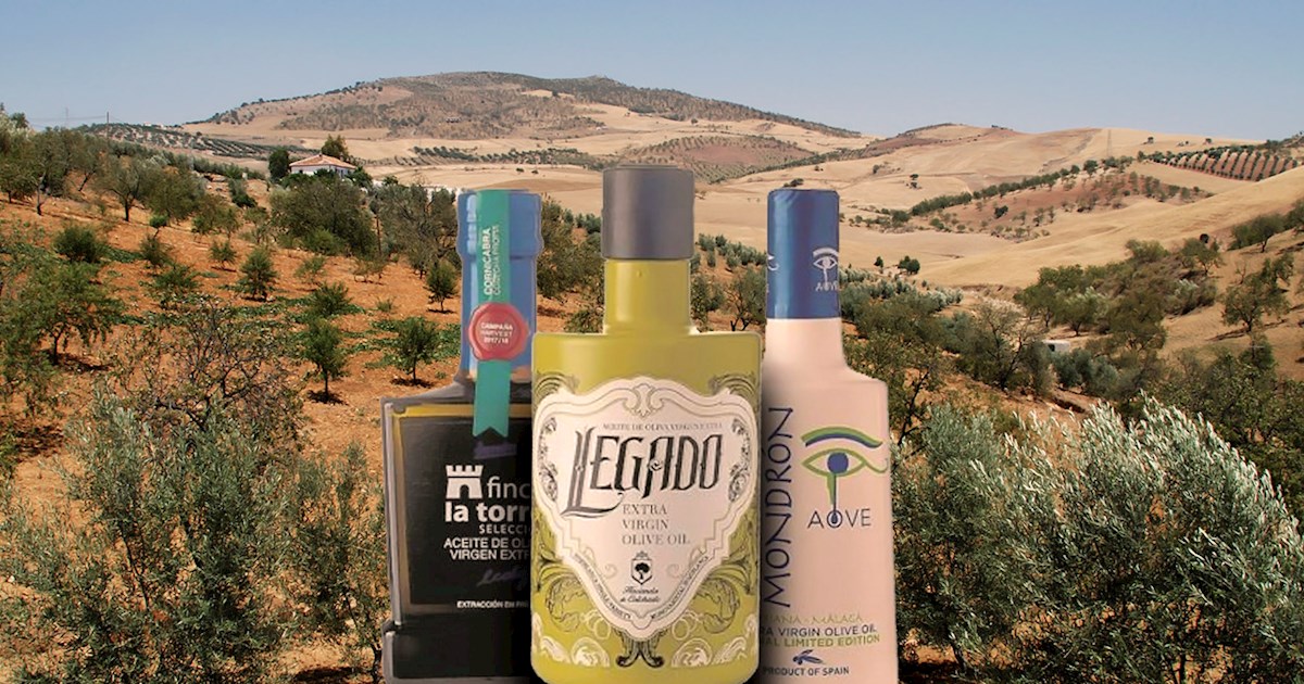 11 Best Olive Oils in Andalusia - TasteAtlas