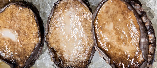 Australian Shellfishes: 7 Shellfish Types in Australia | TasteAtlas