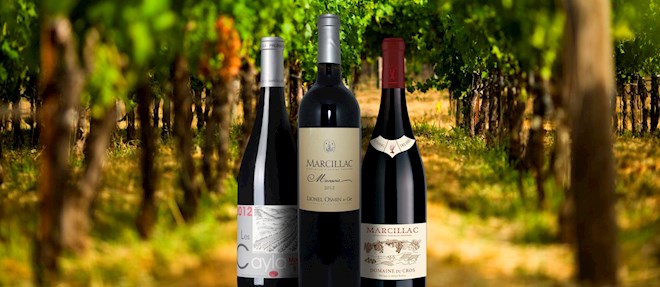 French Red Wines: 114 Red Wine Types in France | TasteAtlas