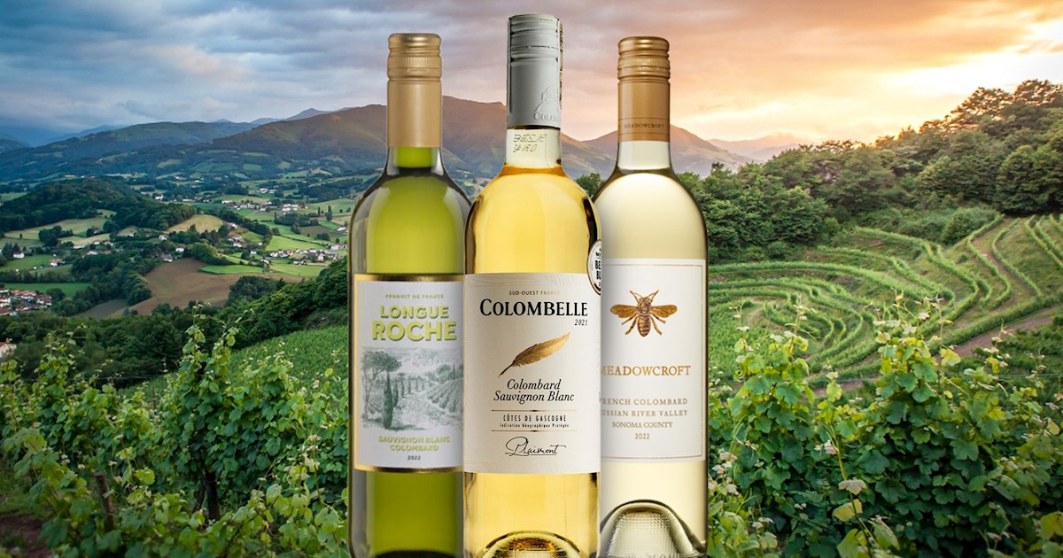 Colombard | Local Wine Variety From Nouvelle-Aquitaine, France