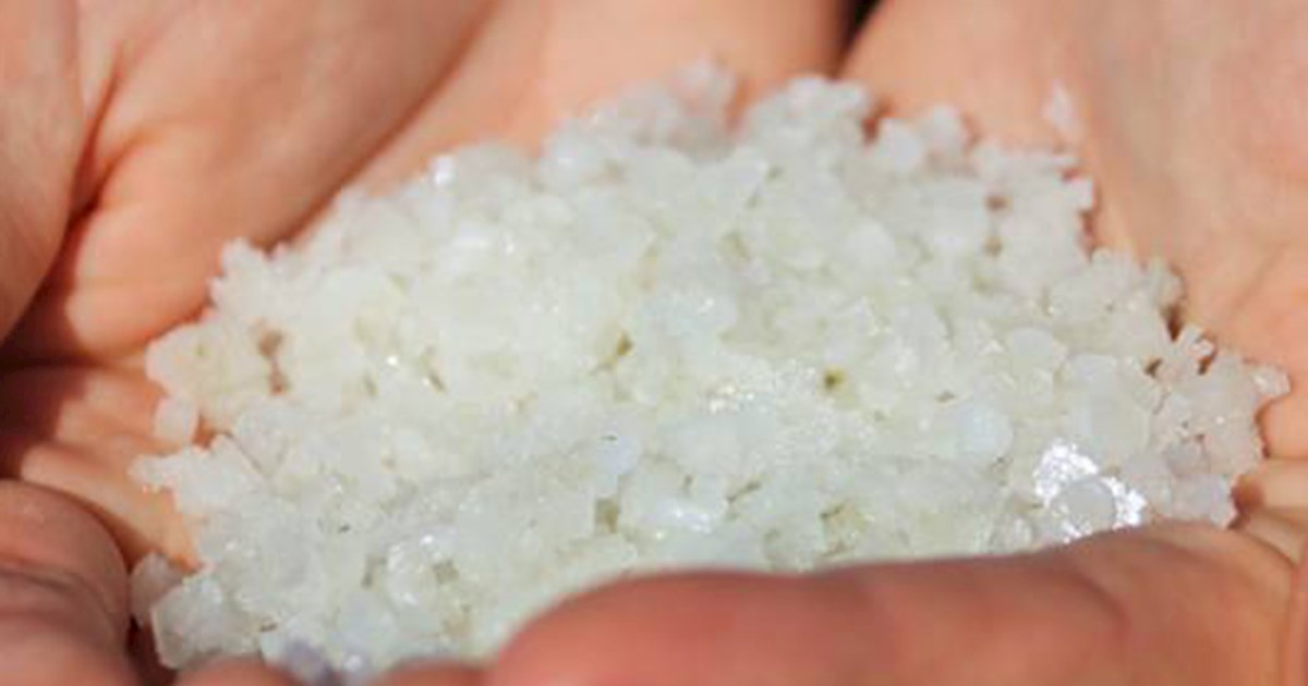 Sel de L'Ile de ré | Local Sea Salt From Île de Ré, France