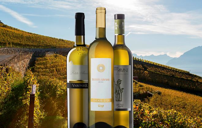 Swiss Alcoholic Beverages: 9 Alcoholic Beverage Types in Switzerland ...