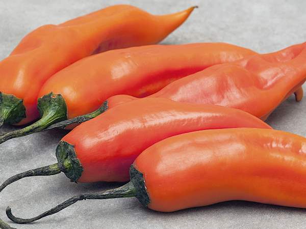 10 Most Popular German Vegetables - TasteAtlas