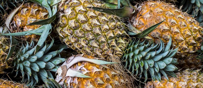 North American Fruits: 67 Fruit Types in North America | TasteAtlas