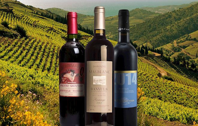 French Fortified Wines: 11 Fortified Wine Types in France | TasteAtlas