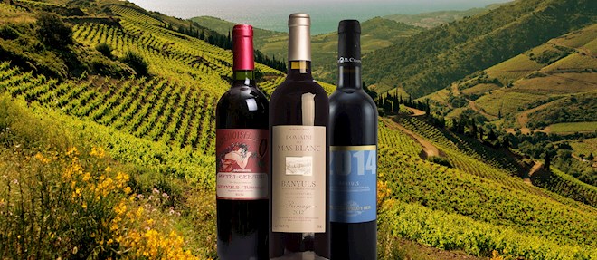 Occitan Fortified Wines: 6 Fortified Wine Types in Occitanie | TasteAtlas