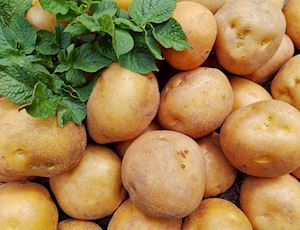World Potato Map | 43 World Potatoes | TasteAtlas