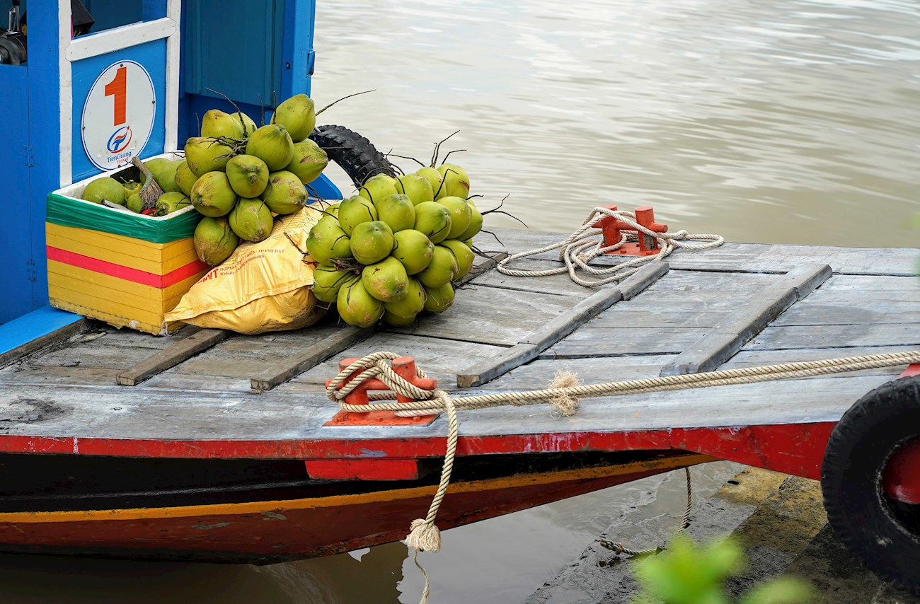 Ben Tre Coconut | Local Coconut From Bến Tre Province, Southeast Asia