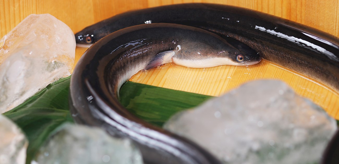 6 Best Fish in Japan - TasteAtlas
