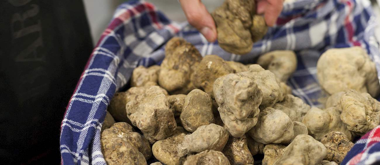 Tartufo Bianco D'Alba | Local Truffle From Alba, Italy