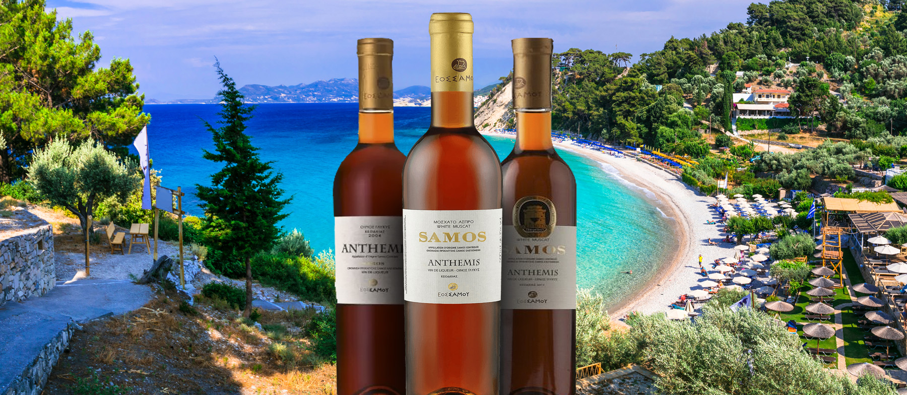 Anthemis | Local Wine Appellation From Samos, Greece