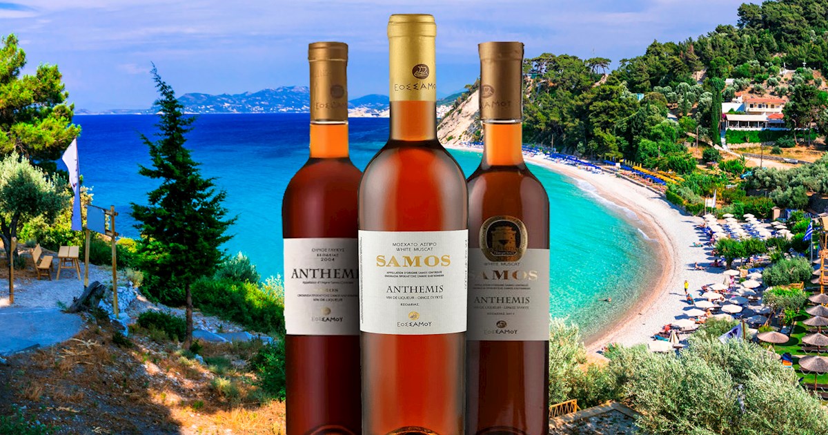 Anthemis | Local Wine Appellation From Samos, Greece