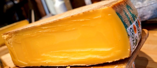 French Cheeses: 253 Cheese Types in France | TasteAtlas