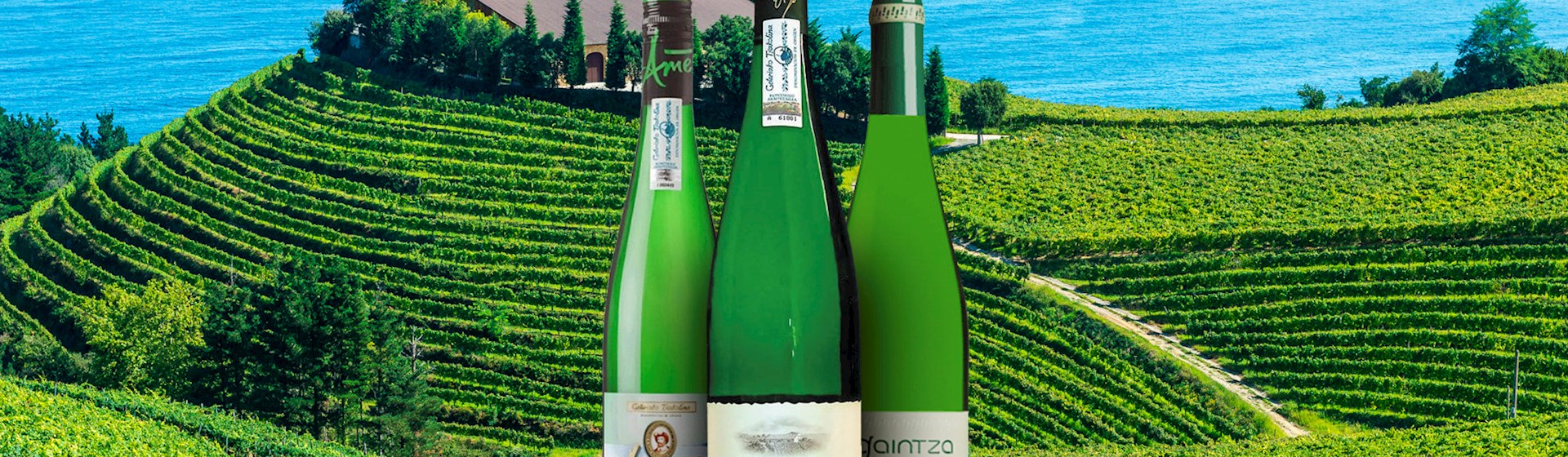 6 Best White Wines in the Basque Country - TasteAtlas