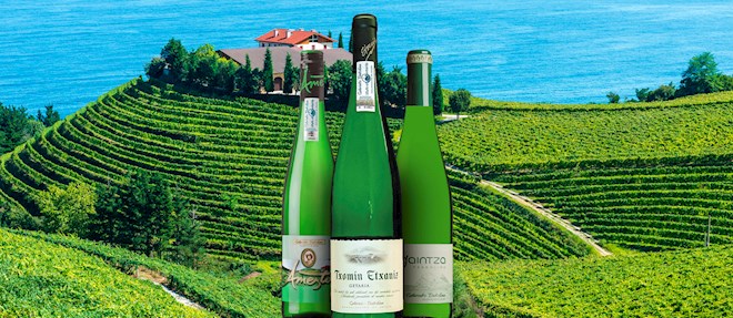 Basque Wine Appellations: 4 Wine Appellation Types in Basque Country ...