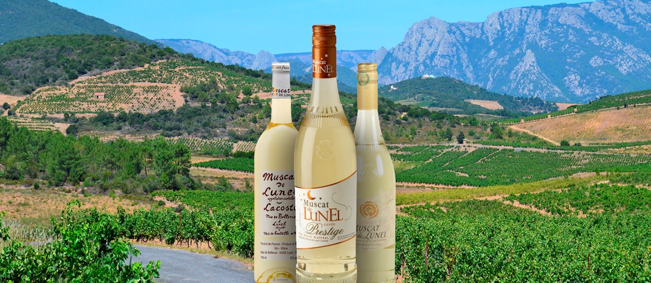 Muscat de Lunel | Local Wine Appellation From Hérault, France