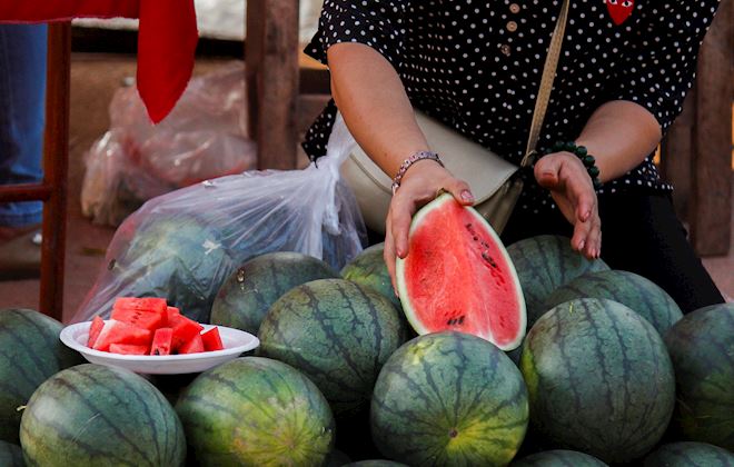 World Melon Map | 10 World Melons | TasteAtlas