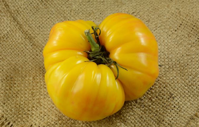 European Tomatoes: 8 Tomato Types in Europe | TasteAtlas