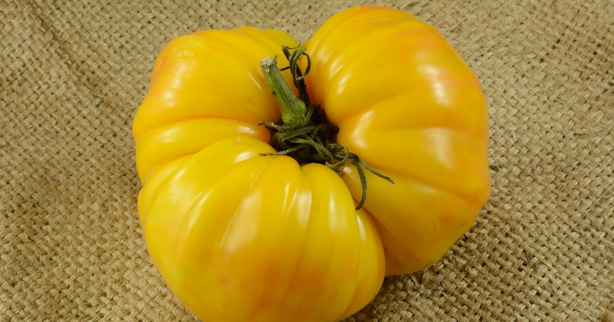 6 Worst Rated European Fruit Vegetables - TasteAtlas