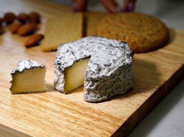 Three Different Types Of Cheese Rinds, 40% OFF