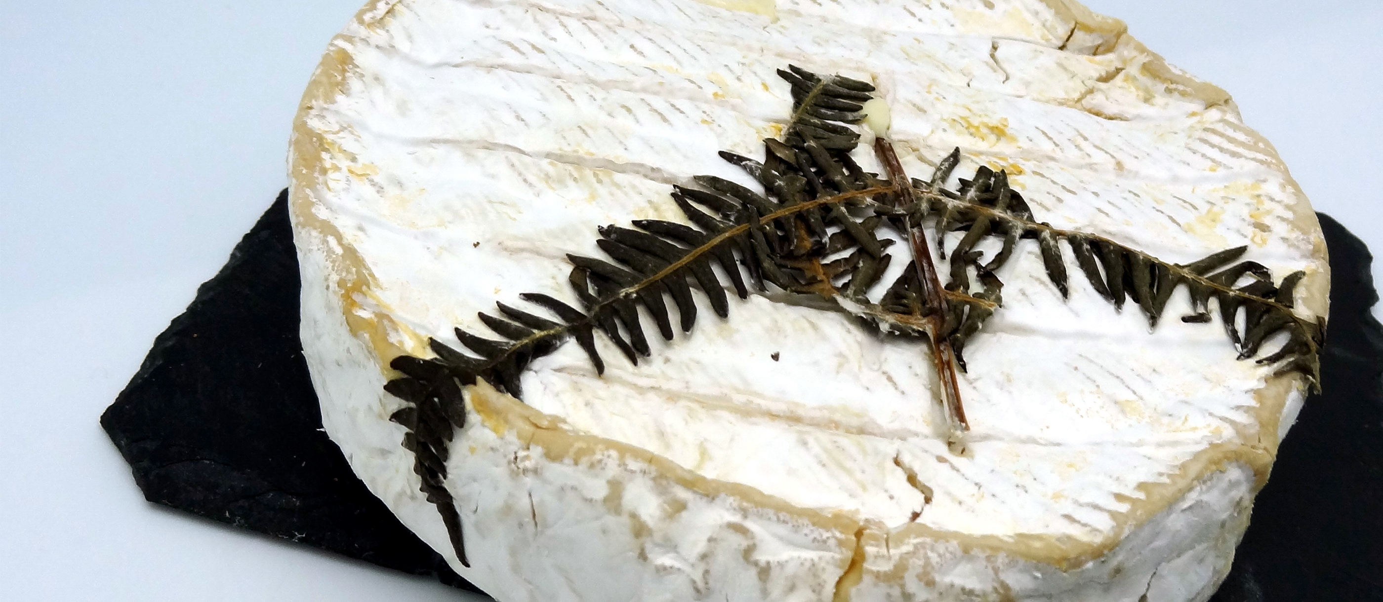 Fougerus | Local Cheese From Seine-et-Marne, France