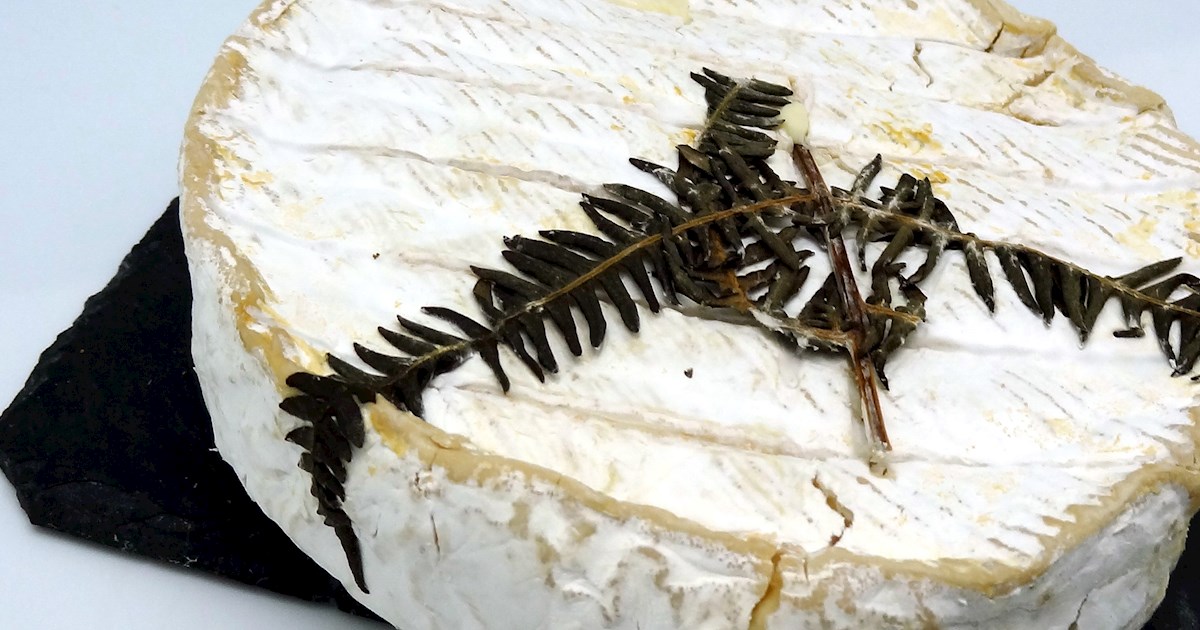 Fougerus | Local Cheese From Seine-et-Marne, France