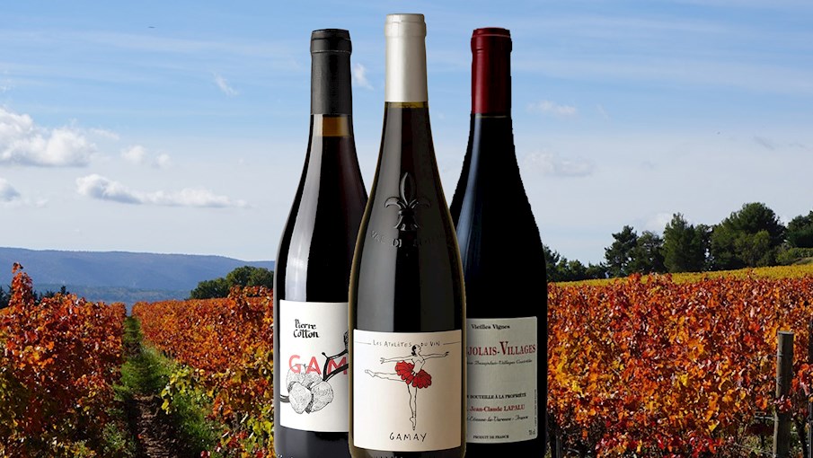 26 Best Red Grapes in France - TasteAtlas