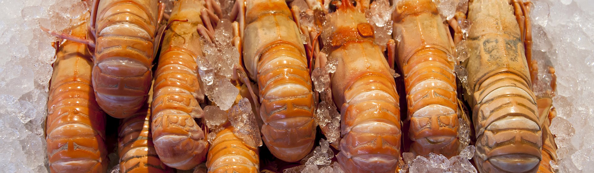 9 Best Lobsters in the World - TasteAtlas