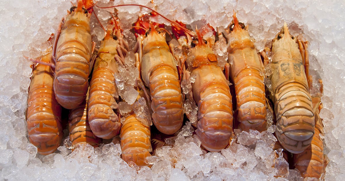 3 Best Scampi in the World - TasteAtlas