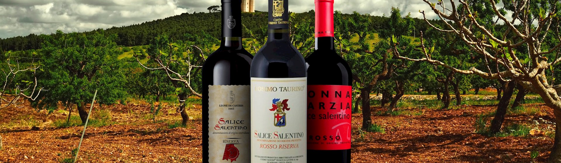 12 Best Wine Appellations in Apulia - TasteAtlas