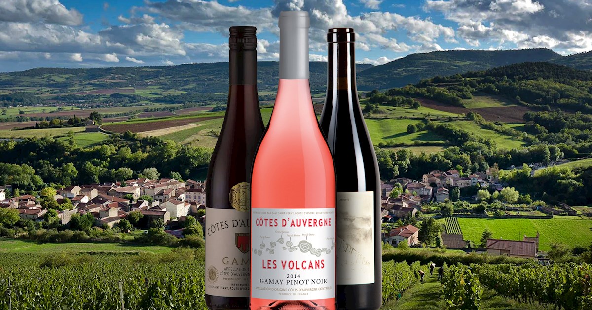 Côtes-d'auvergne | Local Wine Appellation From Puy-de-Dôme, France