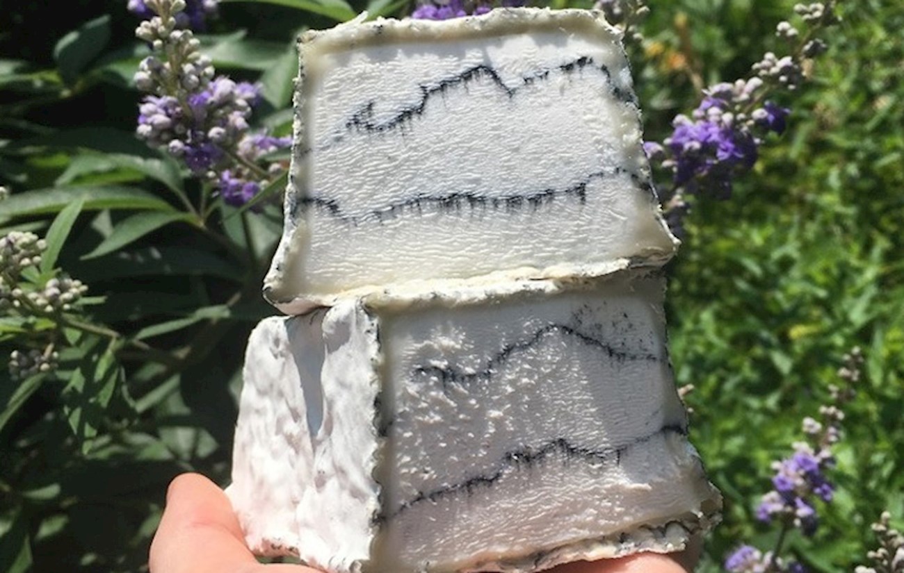 3 Best Bloomy Rind Cheeses in Indiana - TasteAtlas
