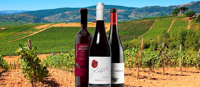 Spanish Wine Varieties: 24 Wine Variety Types in Spain | TasteAtlas